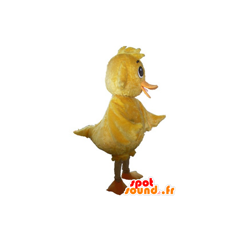 Mascotte de poussin jaune géant, doux et mignon dans Mascotte de Poules - Coqs - Poulets