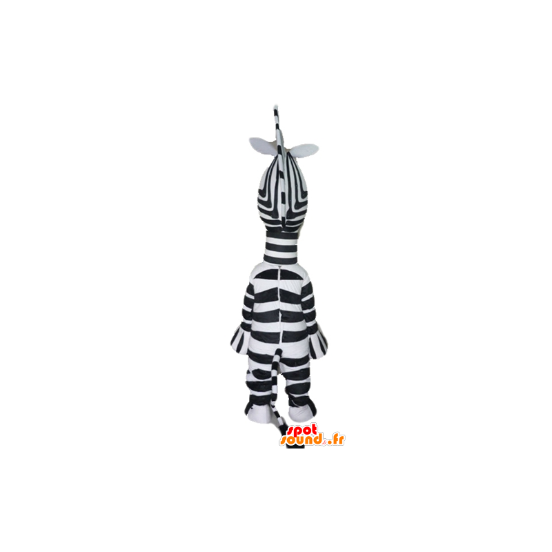 Purchase Marty zebra mascot of famous cartoon Madagascar in Mascots ...