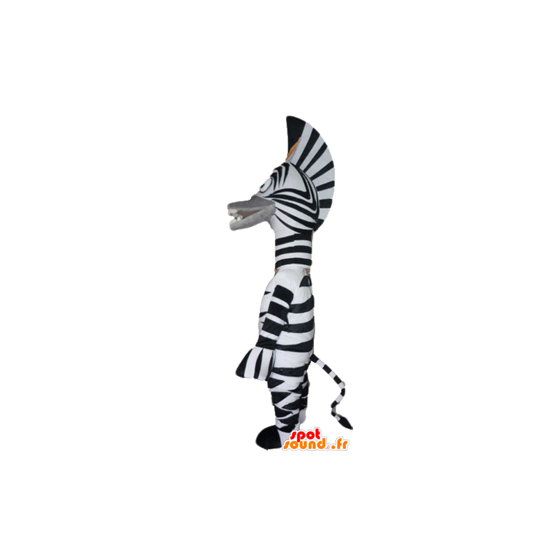 Purchase Marty zebra mascot of famous cartoon Madagascar in Mascots ...