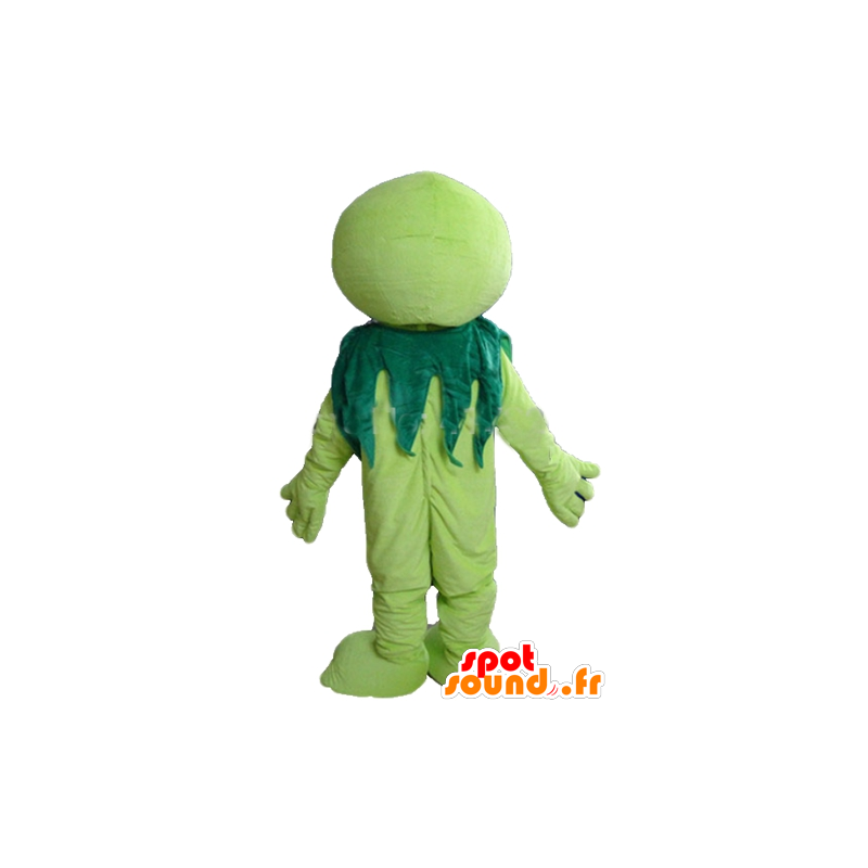 Purchase Mascot Kermit, the frog famous Muppets Show in Mascots famous ...