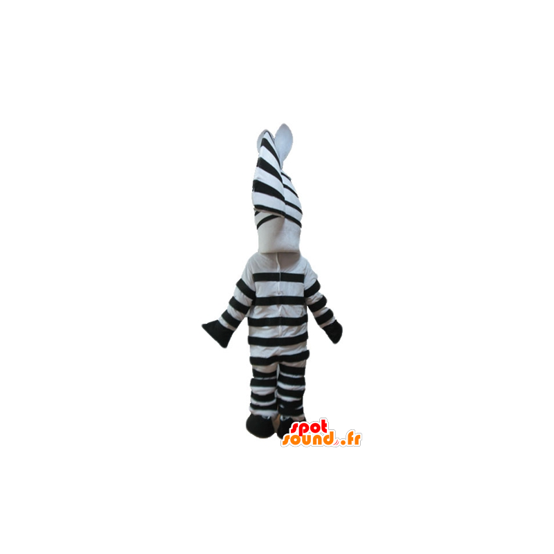 Marty la cebra mascota del famoso dibujo animado Madagascar en ...