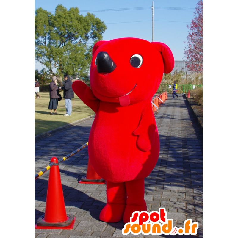 Purchase Chiba-kun mascot, red dog, giant and smiling in Yuru-Chara ...