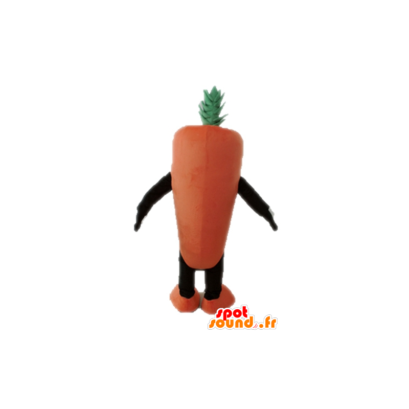 Purchase Mascot giant carrot. vegetable mascot in Mascot of vegetables