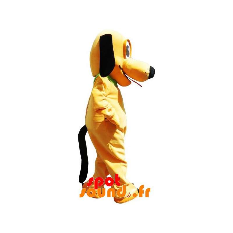 Purchase Pluto Mascot, Famous Yellow Dog Disney in Mascots famous ...