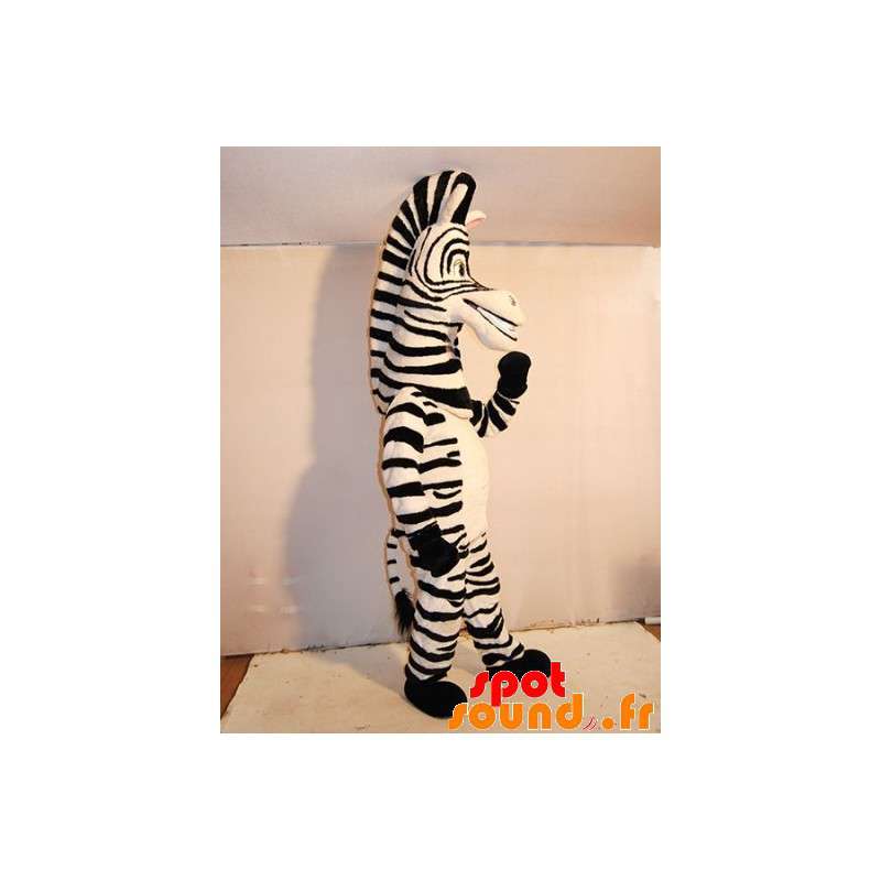 Purchase Mascot Marty Zebra Famous Cartoon Madagascar in Mascots famous ...