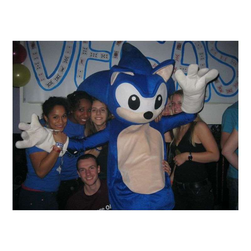 Purchase SONIC Mascot - Costume SEGA video games - Blue Hedgehog in ...