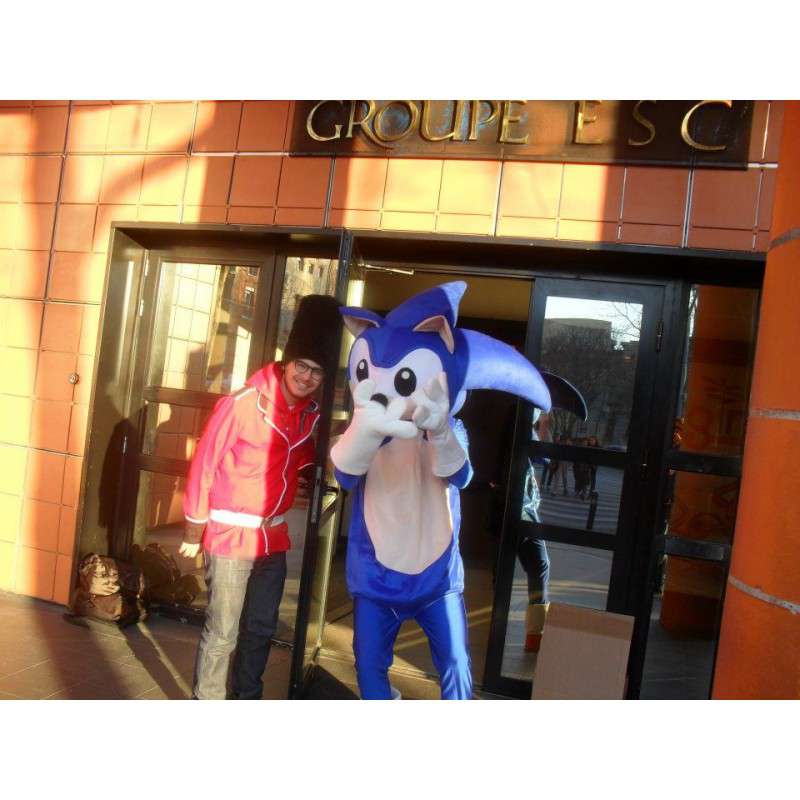 Purchase SONIC Mascot - Costume SEGA video games - Blue Hedgehog in ...